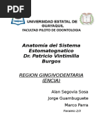 Anatomía de la Región Geniana | PDF | Cabeza y cuello humanos ...