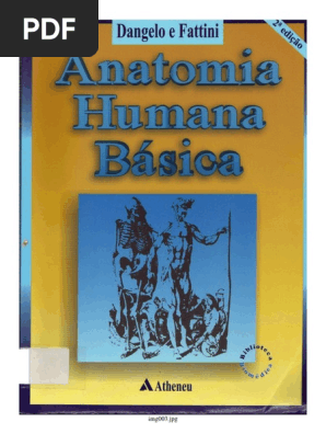 Download Livro Anatomia Humana Básica Pdf Spypass