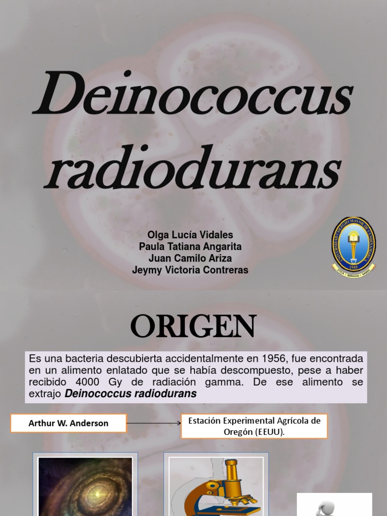Deinococcus Radiodurans | PDF | Ciencias de la vida | Biología