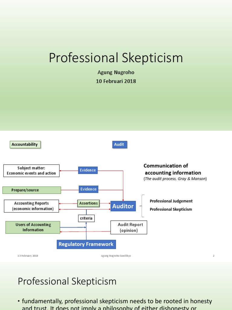 Professional Skepticism 2018 | PDF | Financial Audit | Audit
