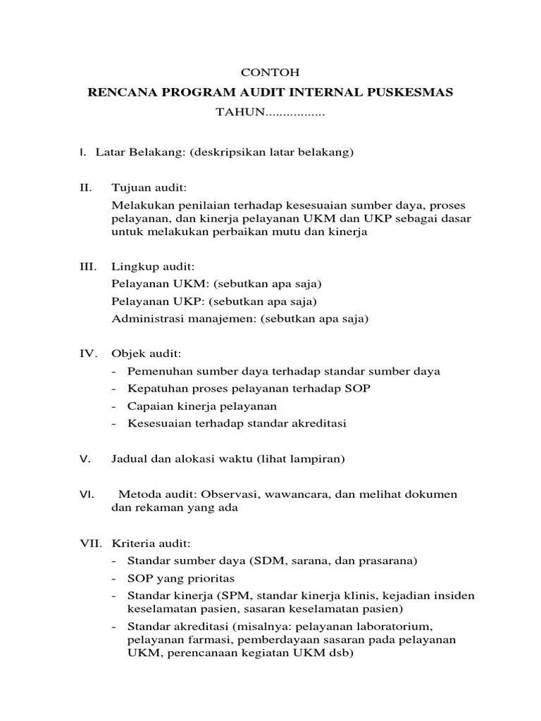 Contoh - Rencana Program Audit Internal | PDF