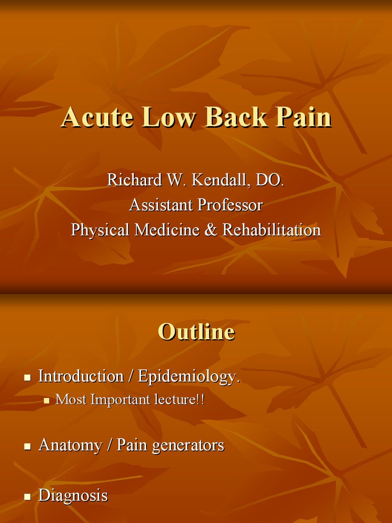 Acute Low Back Pain | PDF | Vertebra | Musculoskeletal System