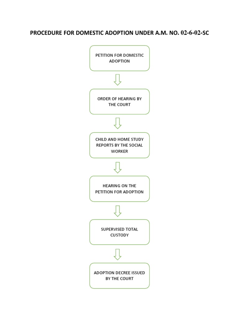 Procedure For Domestic Adoption Under A.M. No. 02-6-02-Sc | PDF