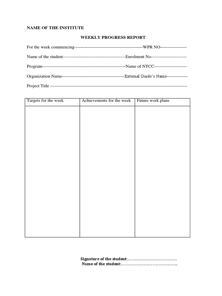 Weekly Progress Format | PDF