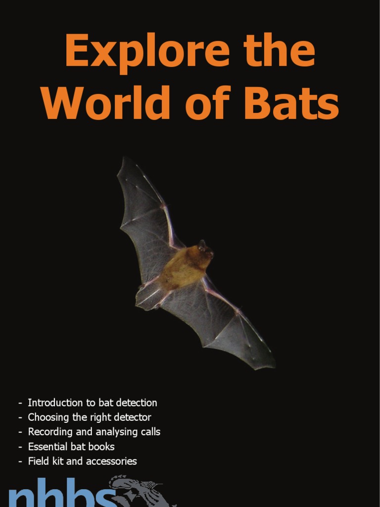 NHBS - Explore The World of Bats | PDF | Electronics | Signal Processing