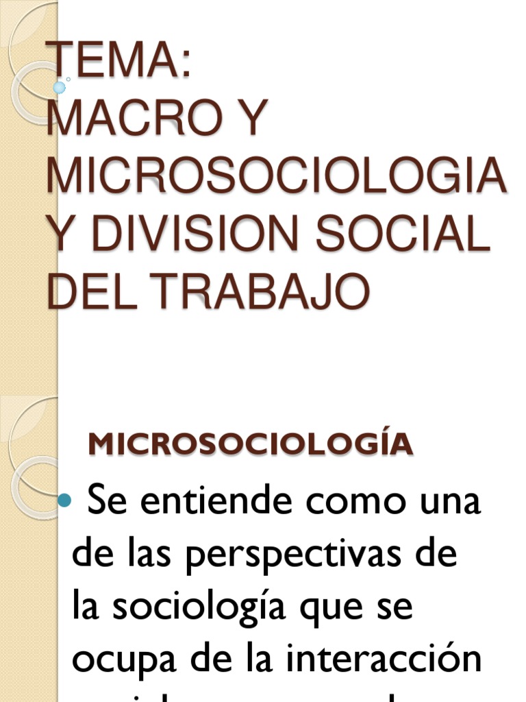 Macro y Microsociologia | PDF
