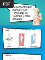 Marcha Coreica | PDF | Ganglios basales | Distonia