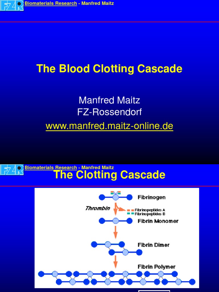 Blood Clotting Cascade Overview | PDF | Coagulation | Molecular Biology