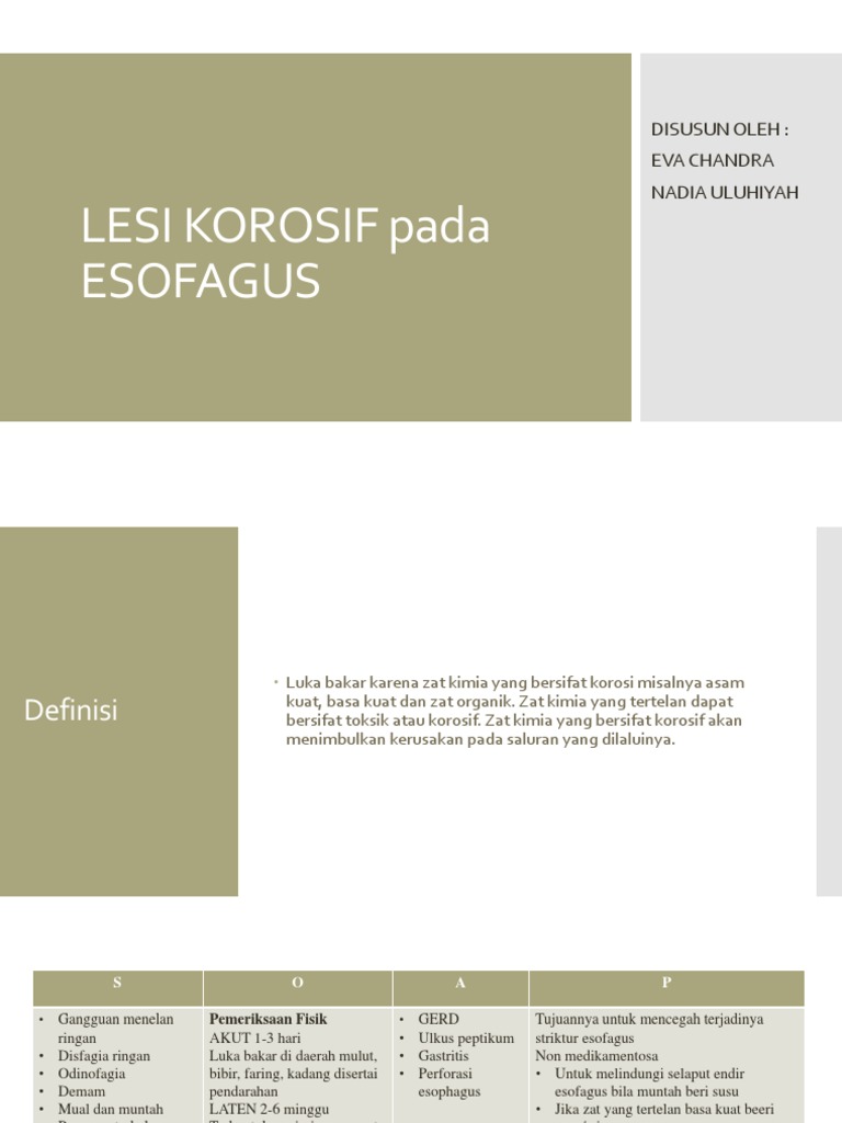 Lesi Korosif Pada Esofagus | PDF