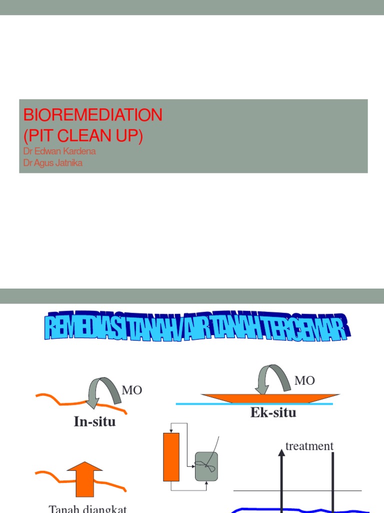 Bioremediation (Pit Clean Up) : DR Edwan Kardena DR Agus Jatnika | PDF