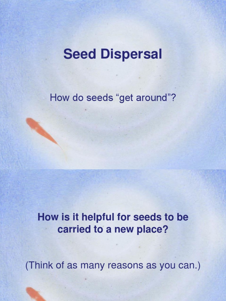 Seed Dispersal: How Do Seeds "Get Around"? | PDF