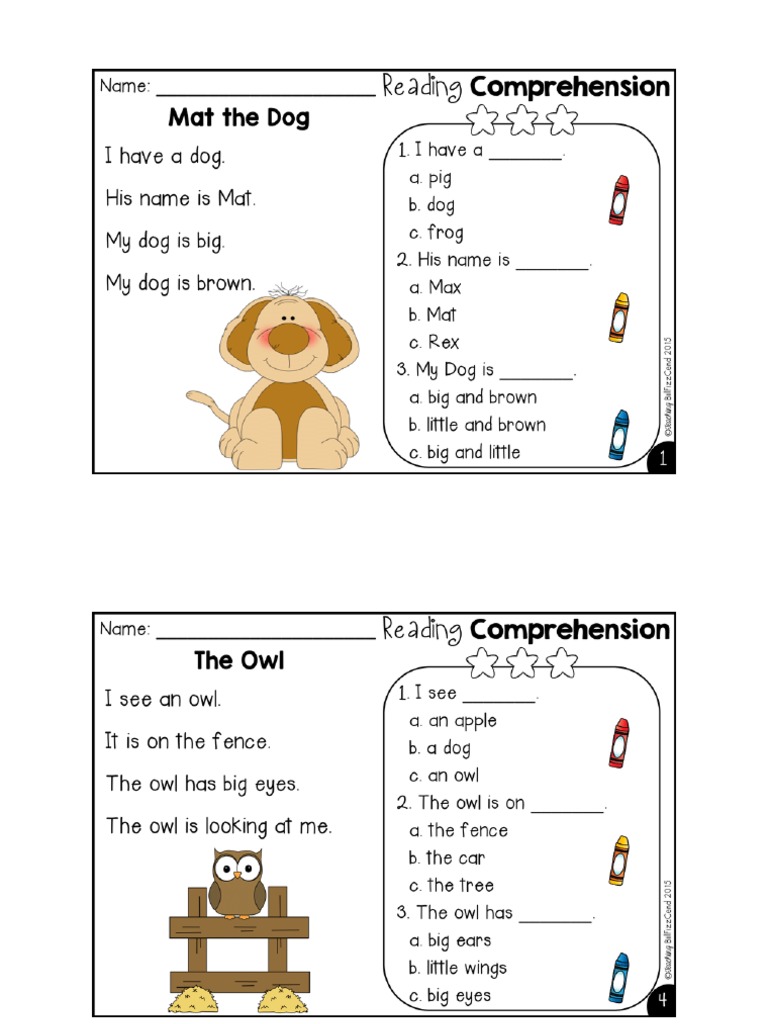 Reading Comprehension - Lower Level | PDF