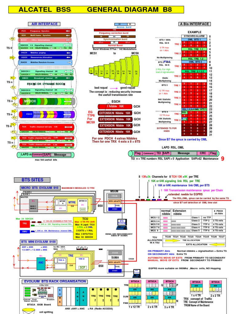 DIAG GENE v8-2005 B | PDF