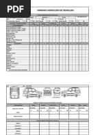 Formato de Control Vehicular | PDF