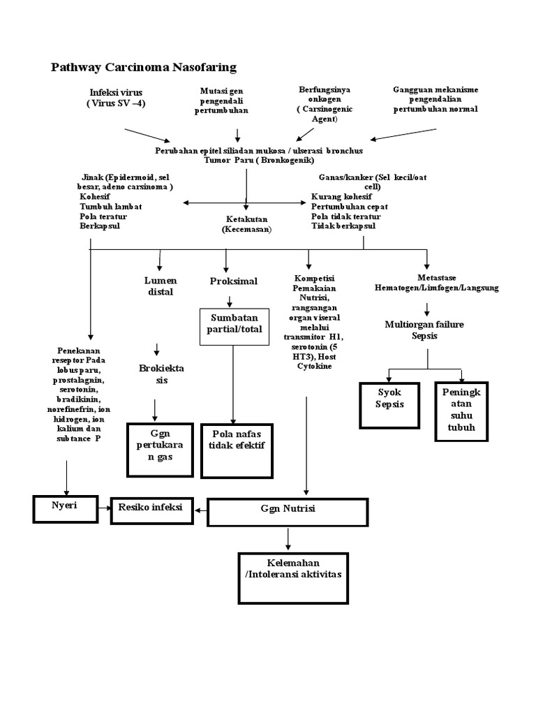 Pathway Carcinoma Nasofaring: Infeksi Virus (Virus SV - 4) | PDF