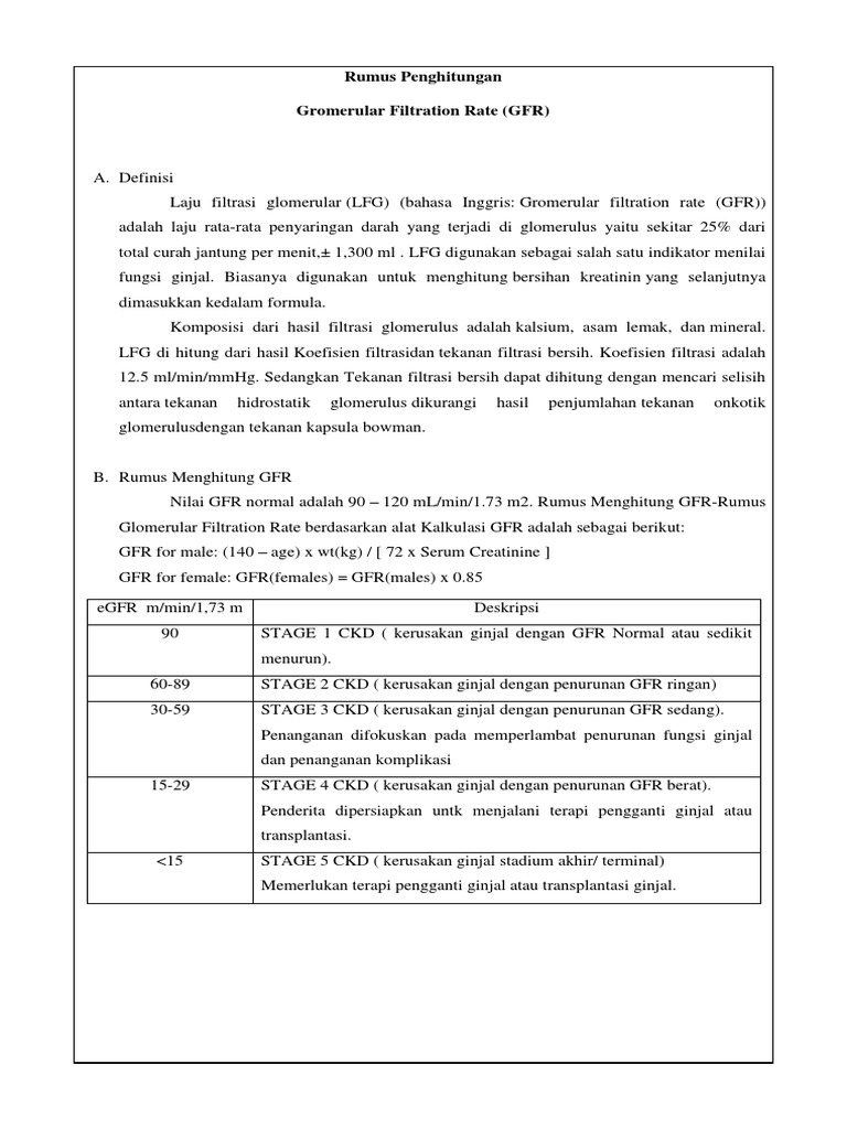 Rumus Penghitungan Gromerular Filtration Rate (GFR) | PDF