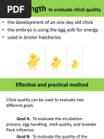 Hisex Brown Layer Management Guide | PDF | Selective Breeding | Chicken