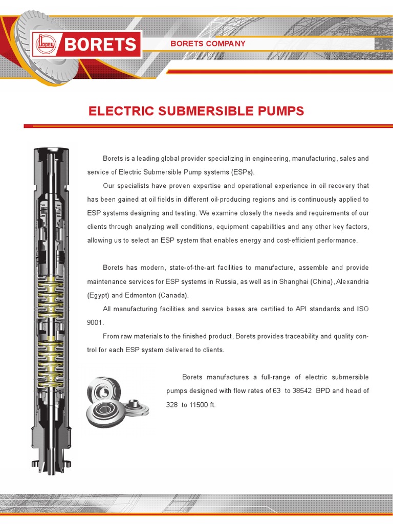 Borets Electric Submersible Pumps Overview | PDF | Pump | Corrosion
