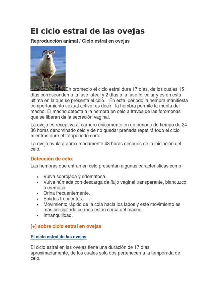 FICHA INFORMATIVA El Ciclo de Vida de Las Ovejas IMPRIMIBLE ANIMAL ...
