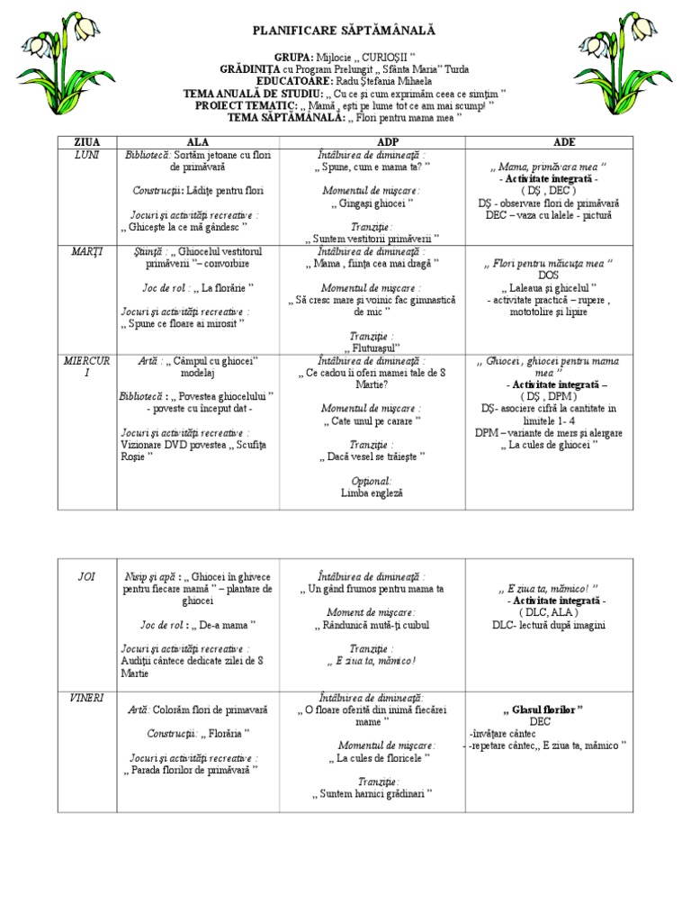 0 2 Planificare Saptamanala | PDF