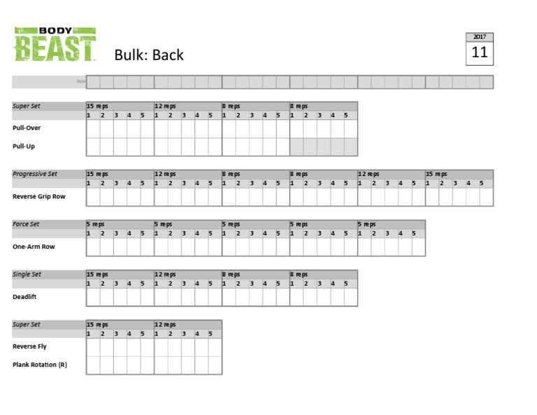 Workout Tracker For Body Beast Bulk Back (In Excel) | PDF