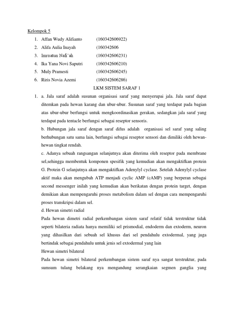 LKM Sistem Saraf 1 & 2 Fix | PDF