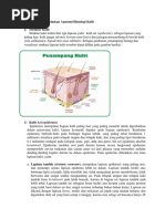 Anatomi Dan Histologi Dan Fisiologi Kulit | PDF