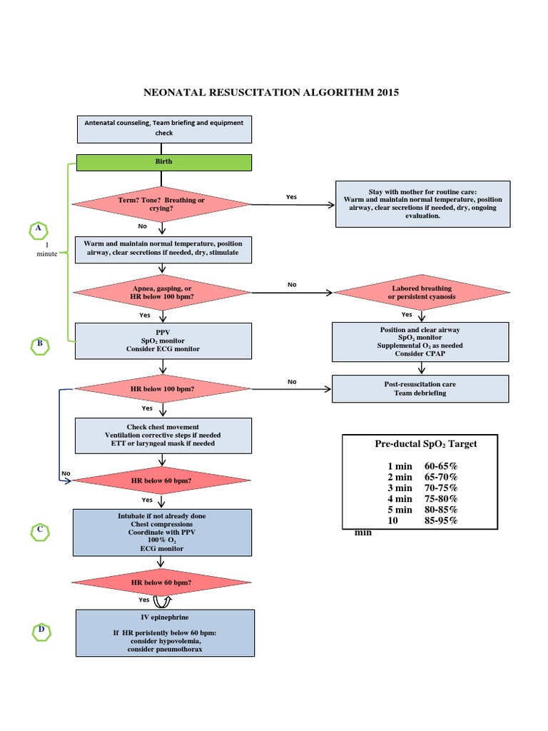 Neonatal Resuscitation Algorithm Pdf Cardiopulmonary Resuscitation Respiratory System