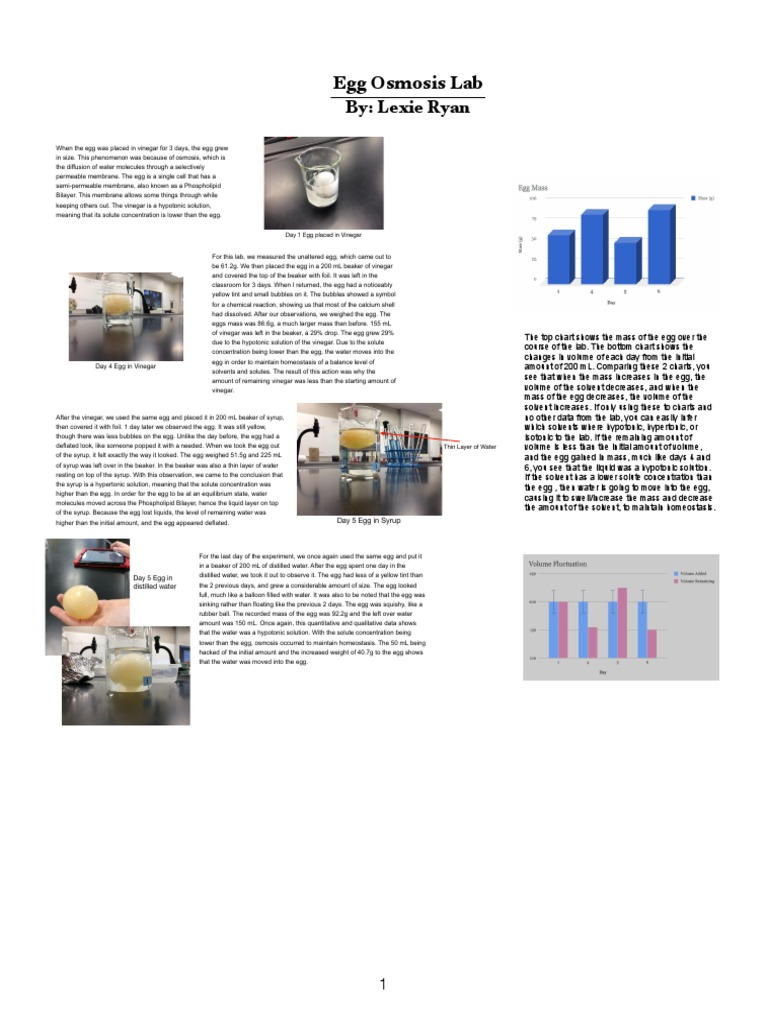 Egg Osmosis Lab | PDF | Osmosis | Solution