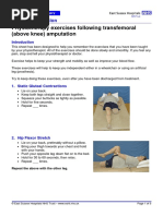 Otago Exercise Program | PDF | Diseases And Disorders | Medical Specialties