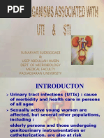 Pathophysiology of Uti | PDF | Urinary Tract Infection | Urinary Bladder