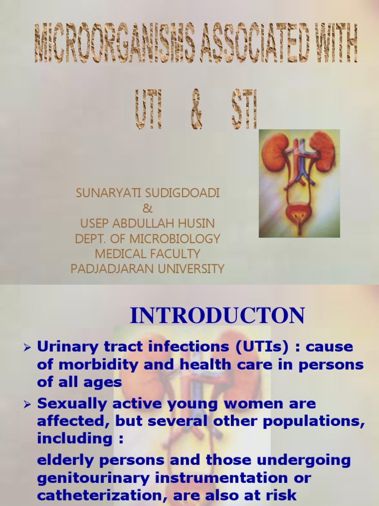 Microorganisms UTI & STI | PDF | Urinary Tract Infection | Staphylococcus