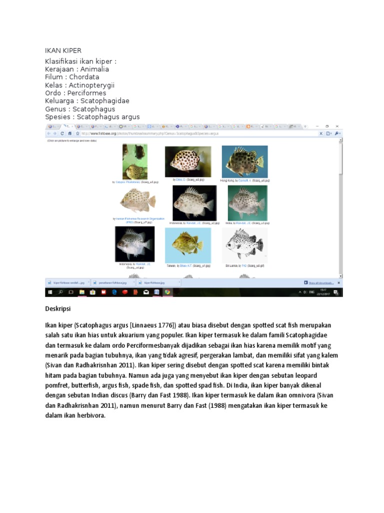 Ikan Kiper | PDF