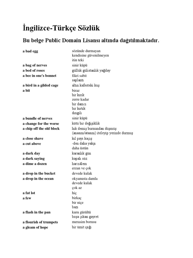 Ingilizce Turkce Sozluk | PDF