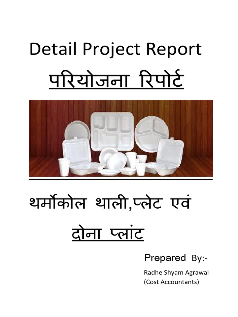 PMEGP Project Report