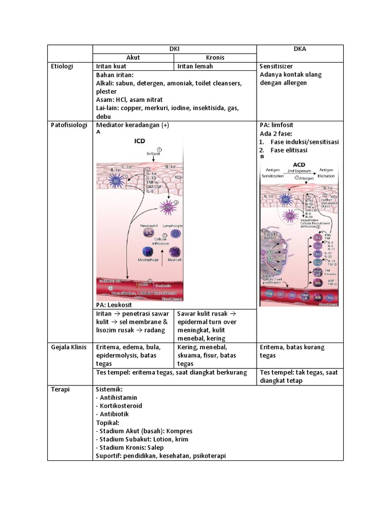 Dermatitis Kontak Iritan Vs Dermatitis Kontak Alergi | PDF