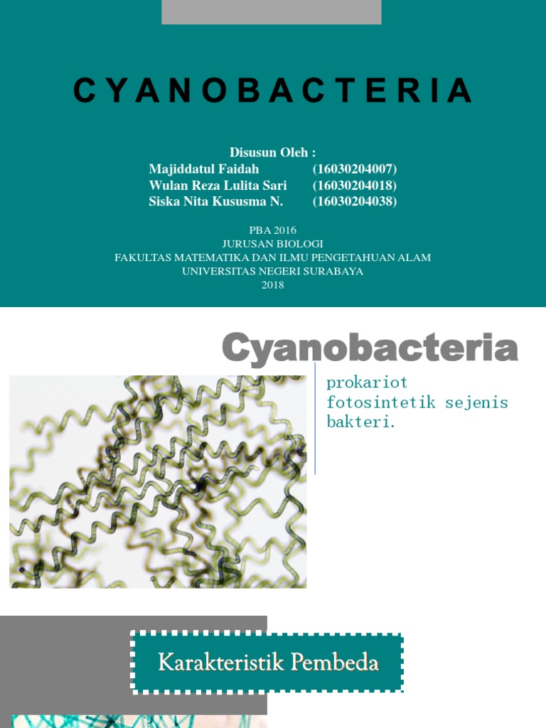 Cyanobacteria | PDF