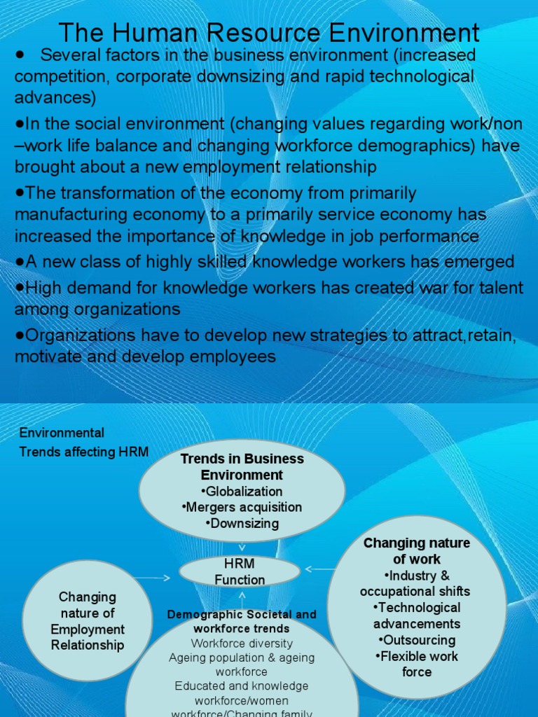 The Human Resource Environment | PDF | Human Resource Management ...