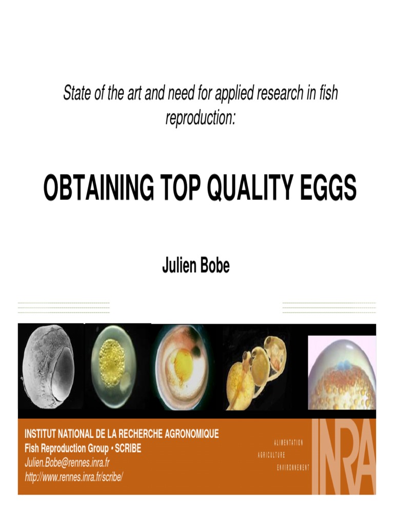 J Bobe Egg Quality Reprofish Oct 2008 | PDF | Spawn (Biology) | Natural ...