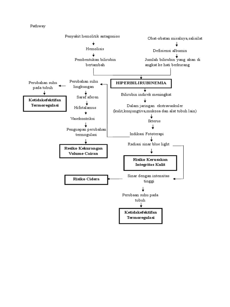 Pathway Hiperbilirubin 1 | PDF