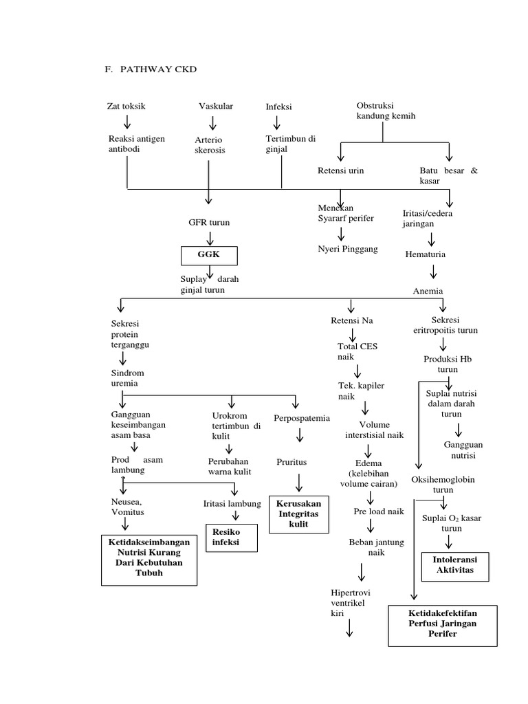 Pathway CKD | PDF