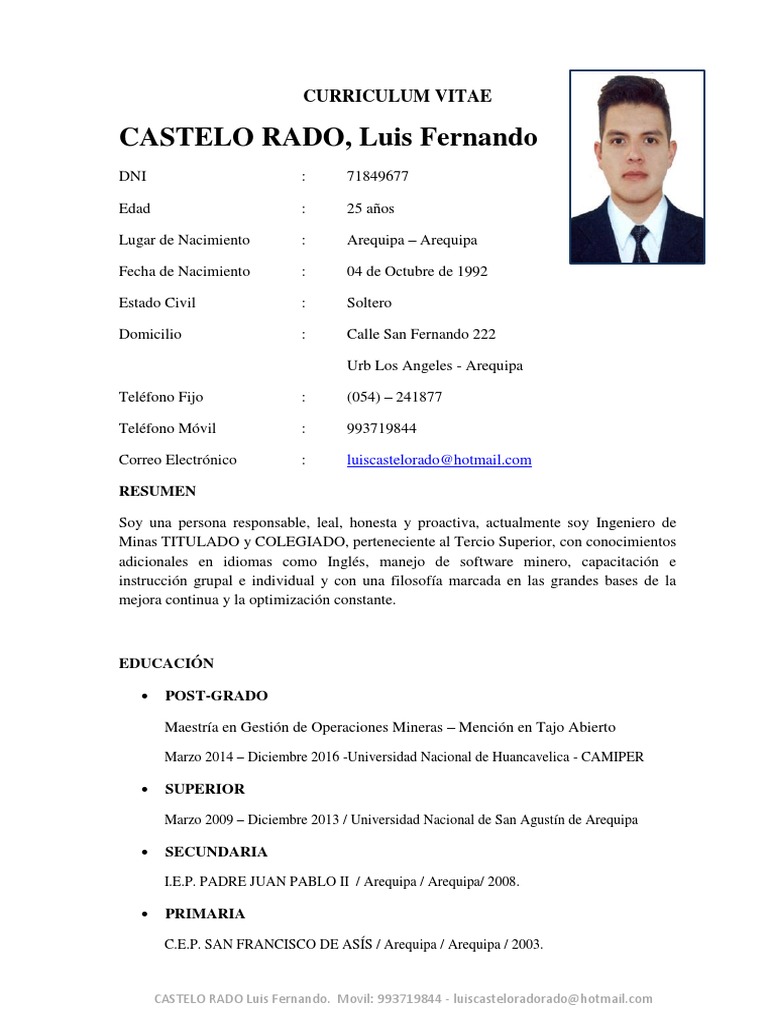 CV Luis Fernando Actualiza Do | PDF | Perú | Minería
