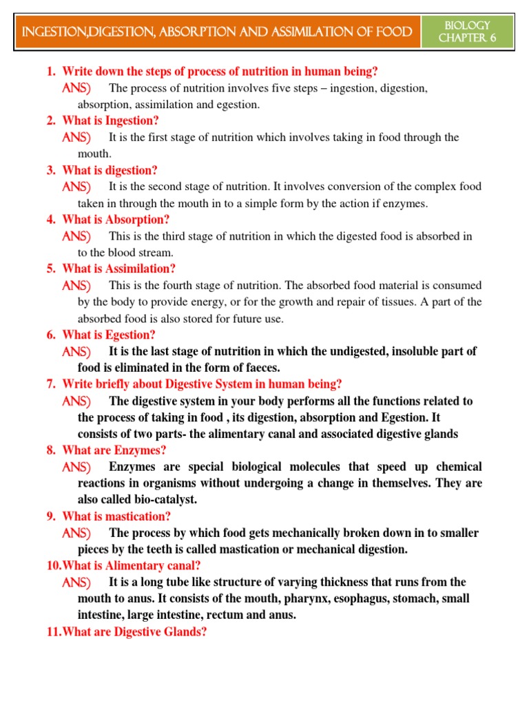 Ch-6 Ingestion, Digestion, Absorption and Assimilation of Food | PDF ...
