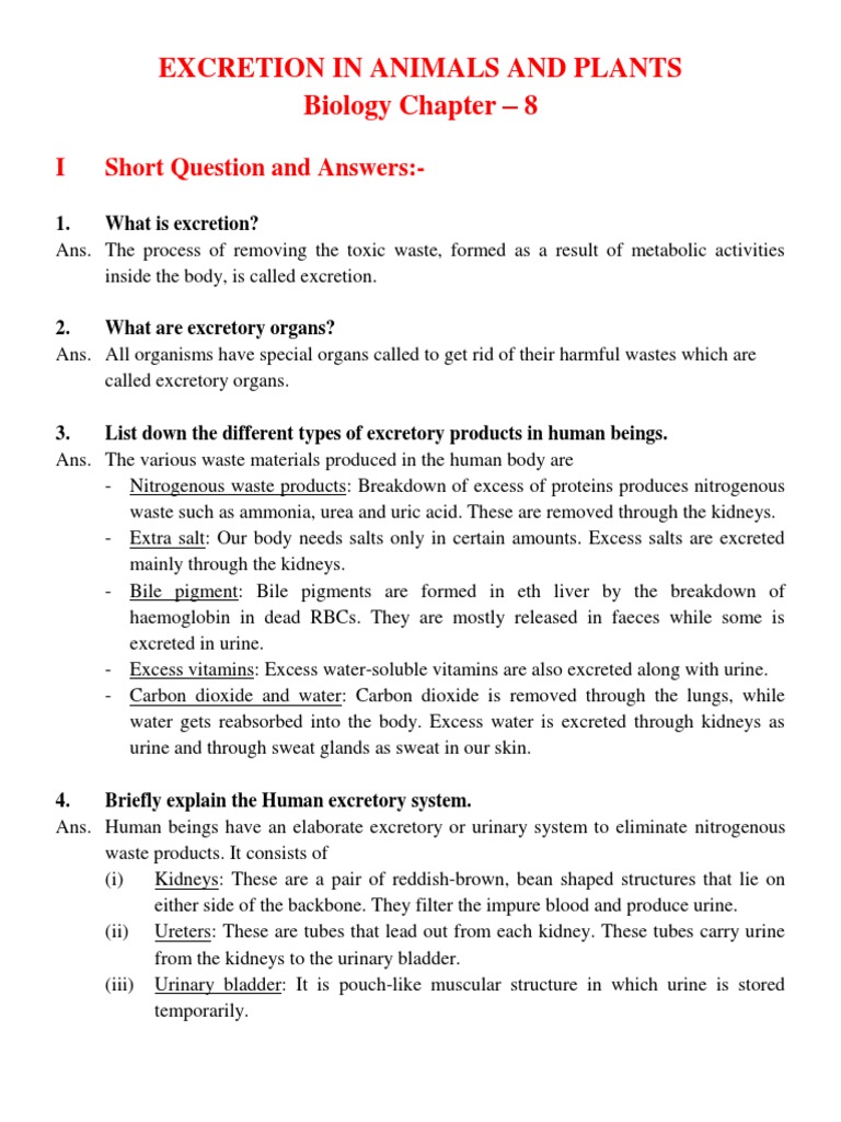 Ch-8 Excretion in Animals & Plants | PDF | Urinary System | Kidney
