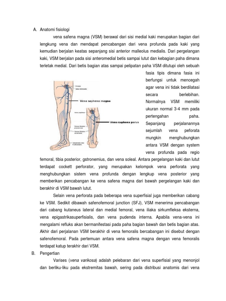 Anatomi dan Etiologi Varises Vena Safena | PDF | Sains & Matematika