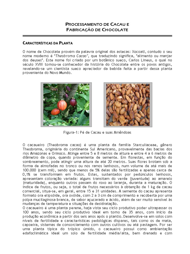 Processamento Cacau e Chocolate | Chocolate | Bebidas