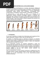 Esquema de La División de La Prehistoria | PDF