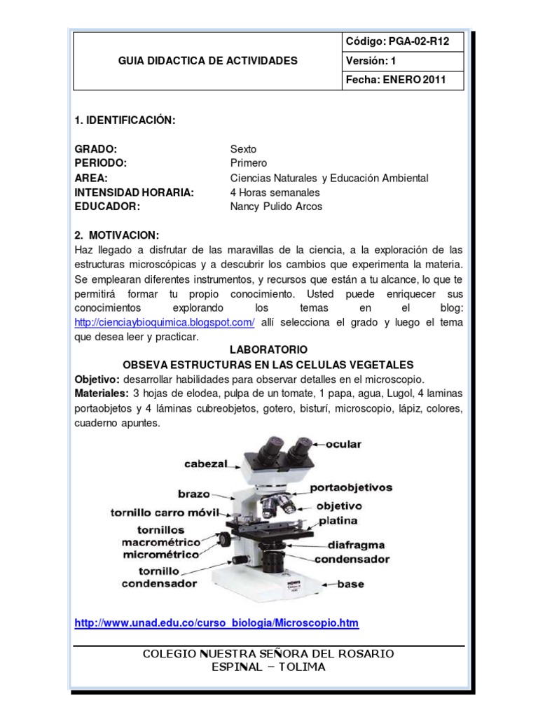 Microscopio Guia DE SEXTO | PDF | Citoplasma | Retículo endoplásmico