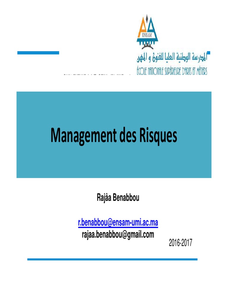 Cours Management Des Risques | PDF | Gestion des risques | Risque
