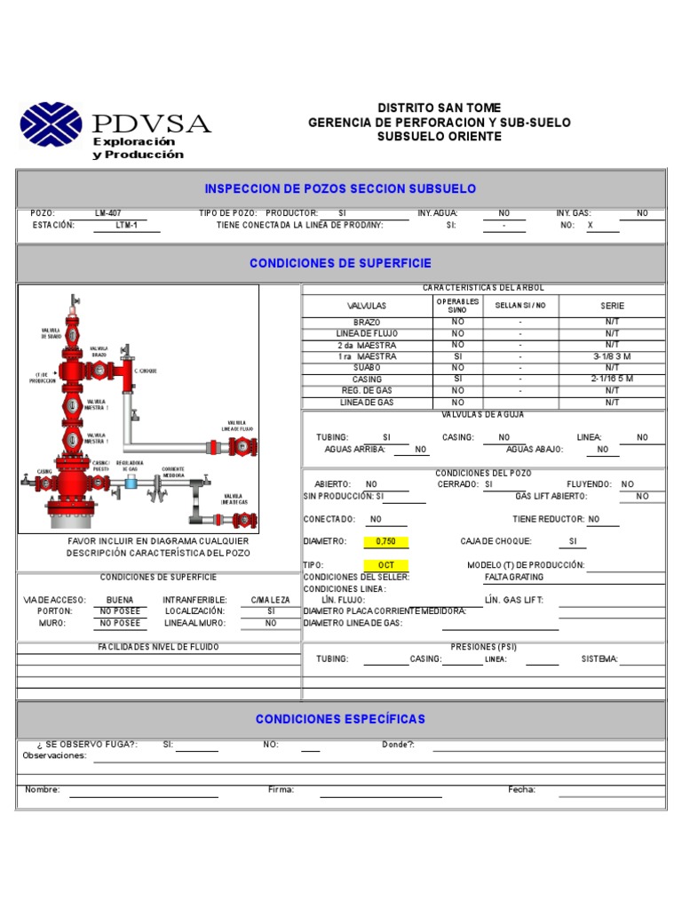 Formato de Inspeccion Pozos Lag-bcp-bm | Ingeniería mecánica | Energía ...